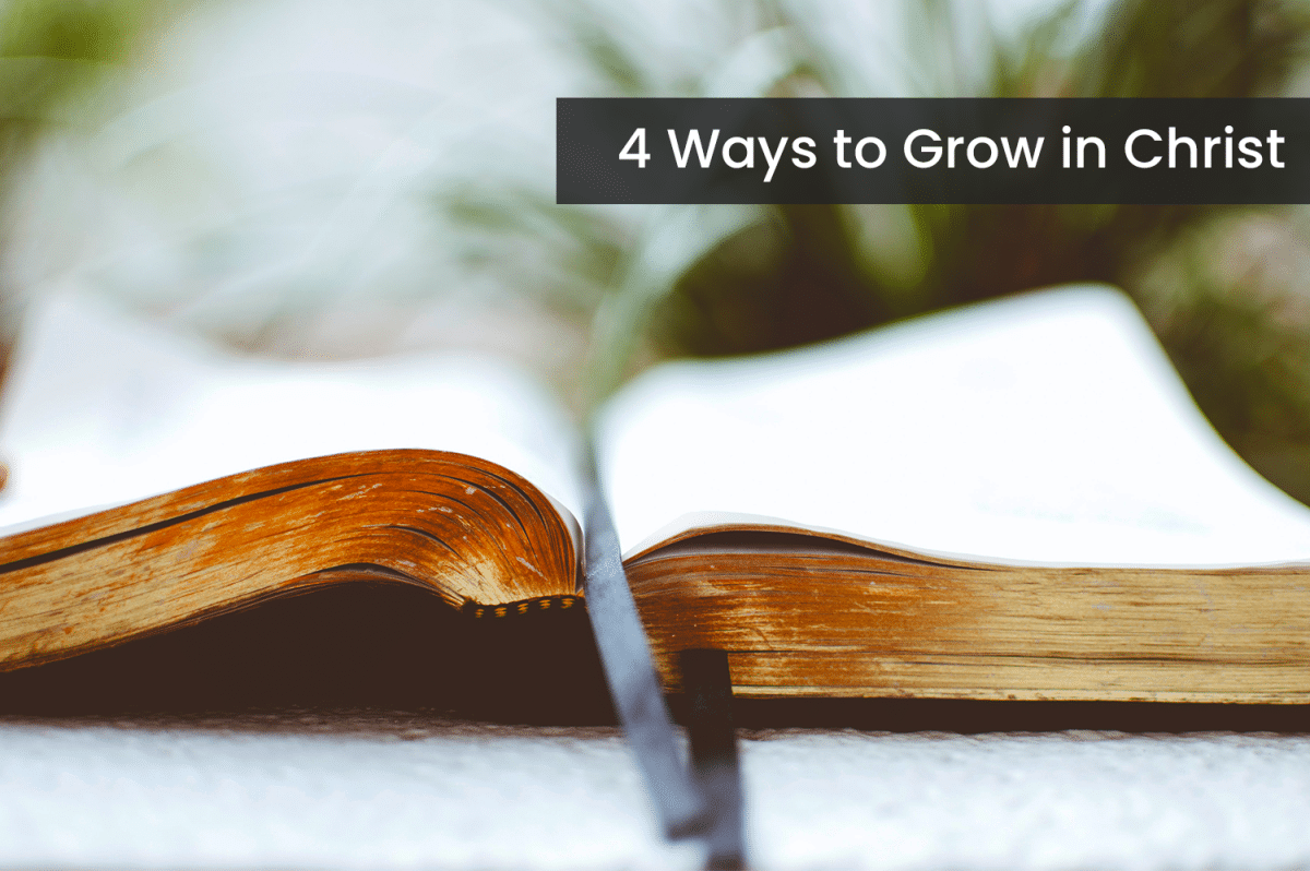 4 Ways to Grow in Christ - Montrose Lutheran Church
